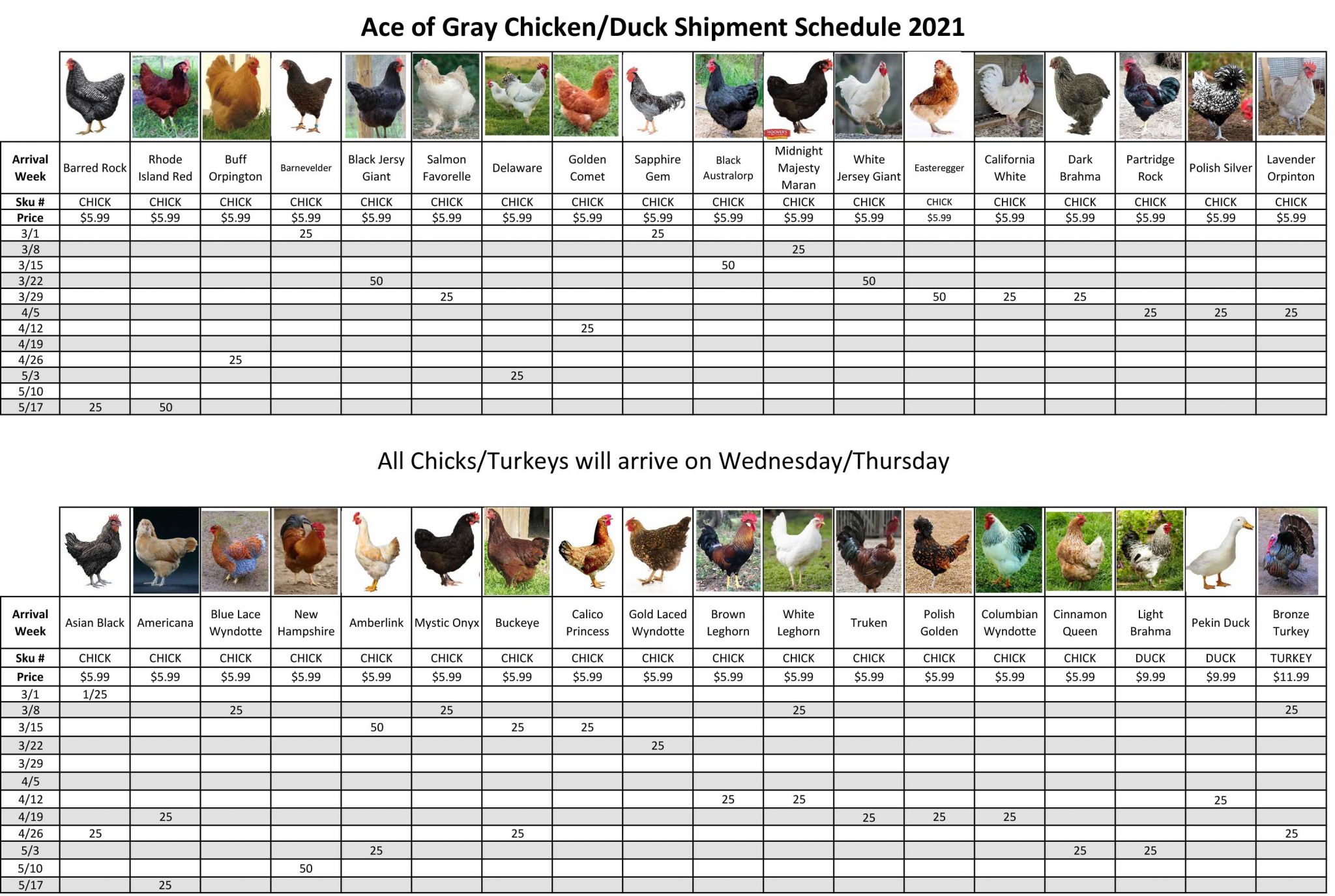 Chicken Schedule 2021